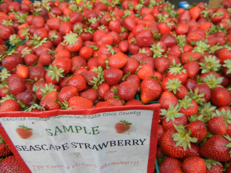 9 Different Types of Strawberries (With Pictures)