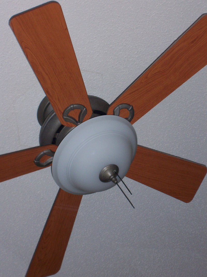 10 Different Types of Ceiling Fans to Enjoy a Cool Breeze at Home