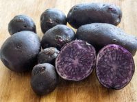 9 Popular Blue and Purple Potato Varieties