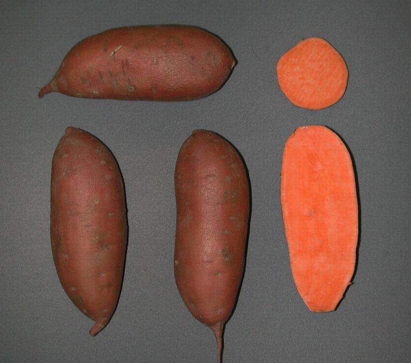 14 Different Types of Sweet Potatoes (With Pictures)