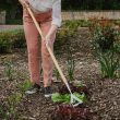 14 Different Types of Garden Hoes Explained