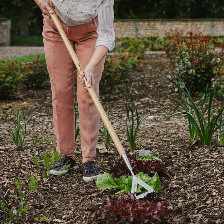 14 Different Types of Garden Hoes Explained