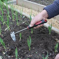 14 Different Types of Garden Hoes Explained