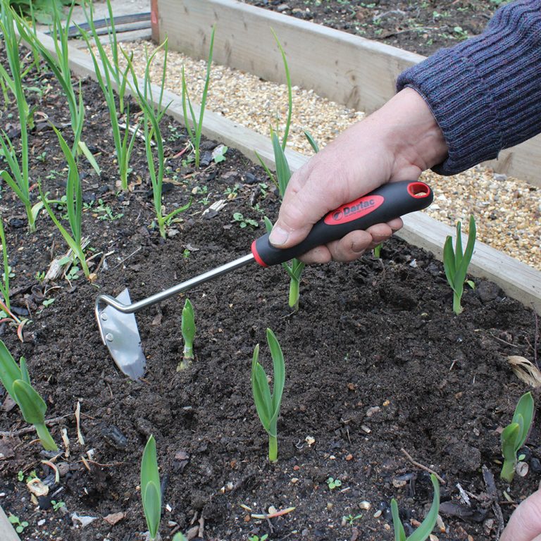 14 Different Types of Garden Hoes Explained