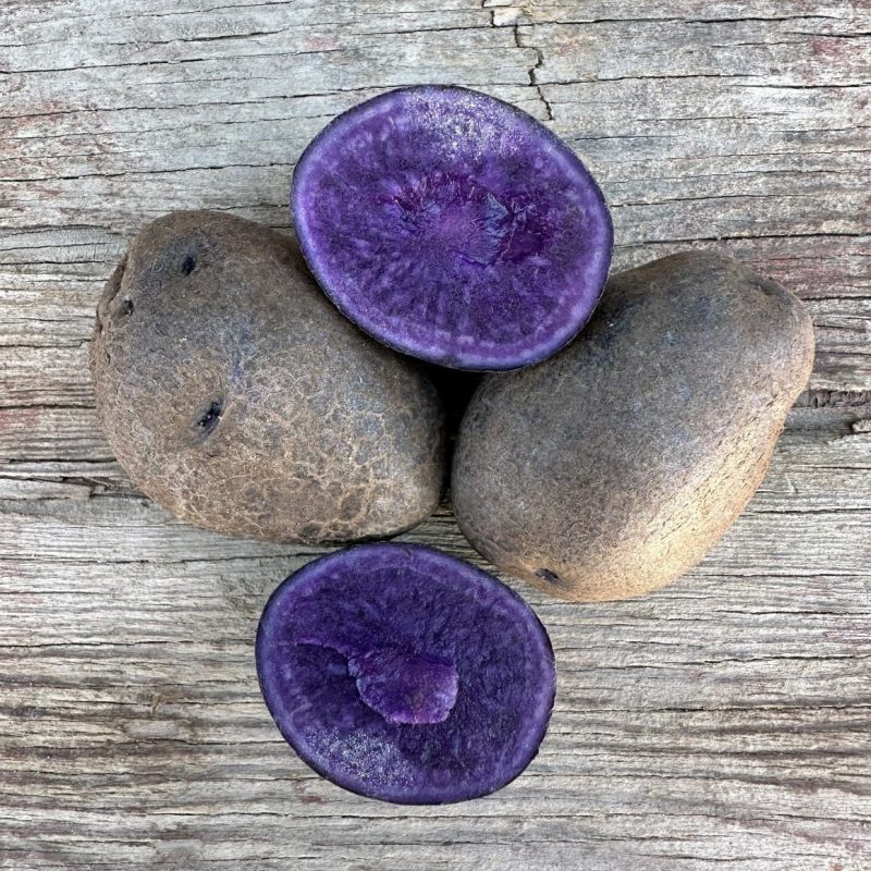 9 Popular Blue and Purple Potato Varieties