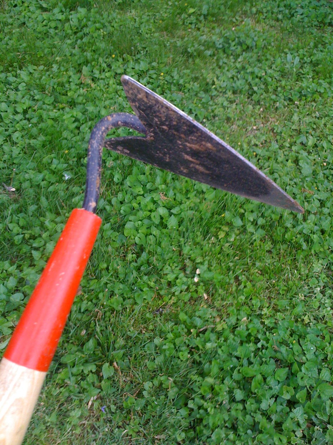 14 Different Types of Garden Hoes Explained