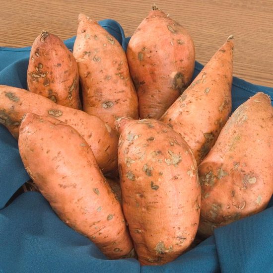 14 Different Types of Sweet Potatoes (With Pictures)
