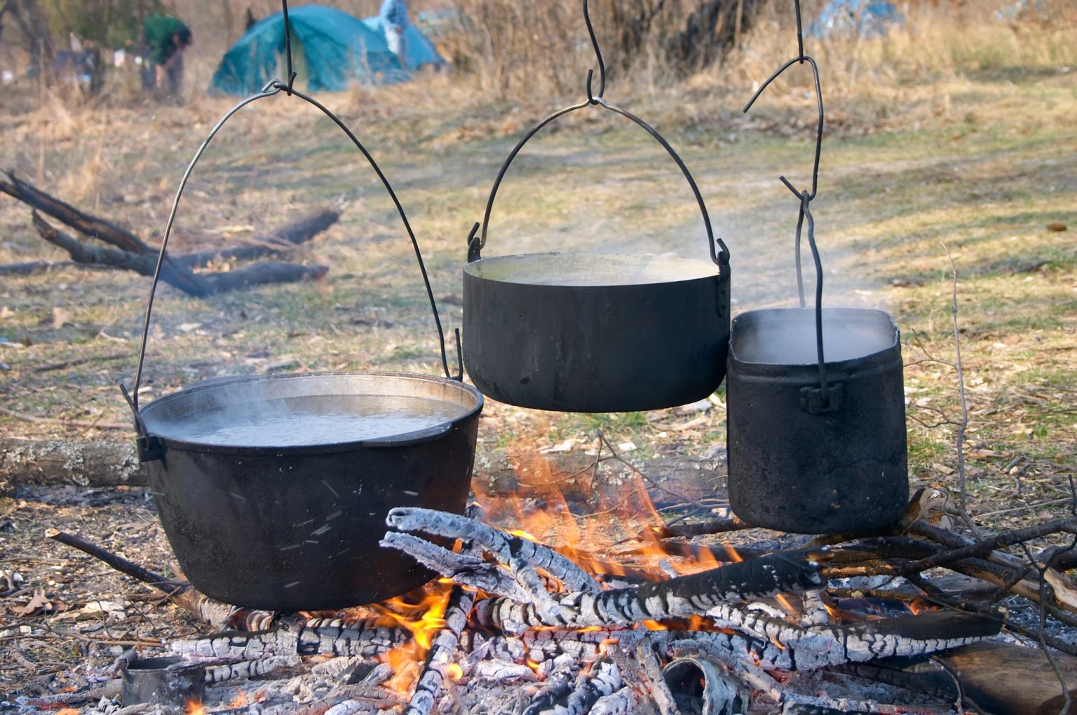 What Are the Different Types of Kettles?