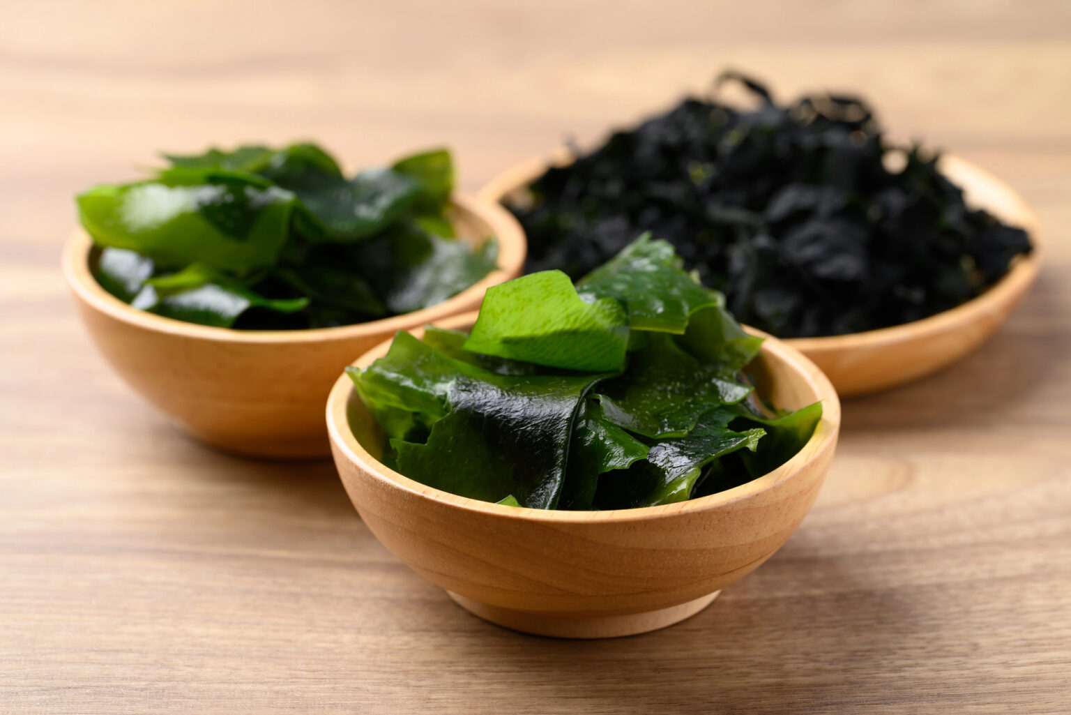 From Nori to Kombu: The Most Popular Edible Seaweeds