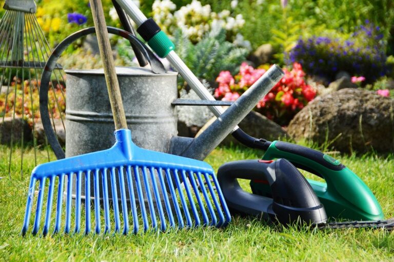20 Must-Have Gardening Tools Every Beginner Needs