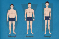 Different Body Shapes of Men: Understanding and Embracing Your Natural ...